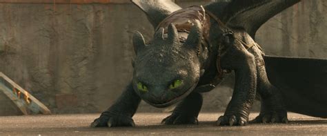 Live Action Toothless By Draco Awesomeness On Deviantart