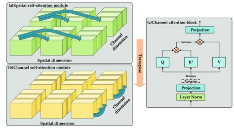 Architecture Of The Dual Attention Encoders A Spatial Self Attention Download Scientific