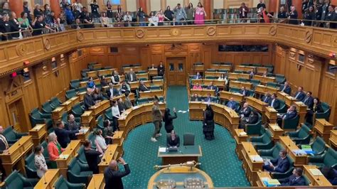 New Zealand Parliament Suspended After Haka Protest World News Sky News