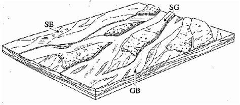 Facies Model Of A Gravel Bed Braided River With Sediment Gravity Flow