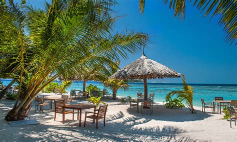 몰디브에서 놀라운 역동적인 해변 야자수와 열 대 섬 바다 열 대 몰디브 로맨틱 아 톨 섬 파라다이스 럭셔리 리조트 산호초에 대 한에 하얀 양산 해변에 우산 0명에 대한 스톡