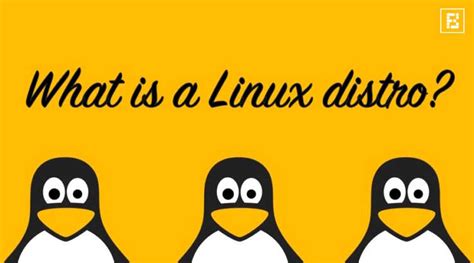 What Is Linux Distribution Different Versions Of Linux Distros