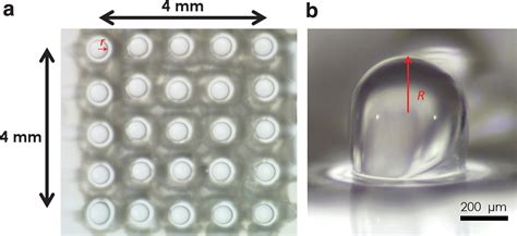 Rapid Fabrication Of Silica Microlens Arrays Via Glass 3d Printing