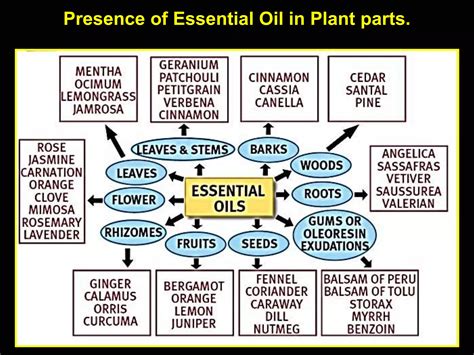Extraction Of Phytochemicals Pdf