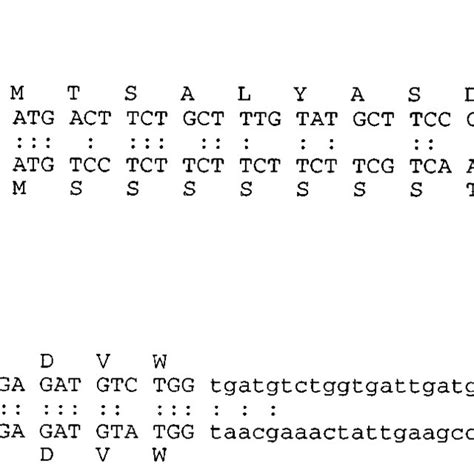 Nucleotide Sequence And Deduced Amino Acid Sequence Of Arabidopsis