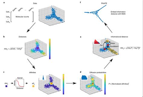 Moon Et Al Nature Biotechnology 2019 Visualizing Structure And
