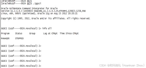 使用goldengate完成sqlserver到oracle的数据实时同步sqlserver Ogg Csdn博客