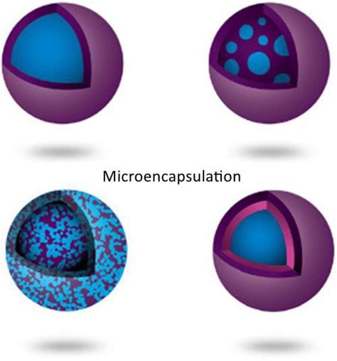 La Technologie De Microencapsulation Peut Elle être Utilisée Pour Les