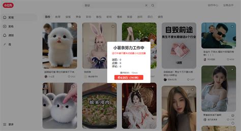 小红书 AI涨粉神器PC版GOOGLE浏览器插件需要VPN 老吴项目网