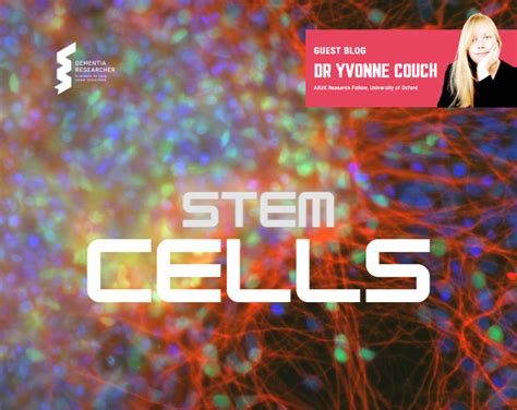 Blog Stem Cells Dementia Researcher