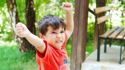 Understanding And Managing Autism And Aggressive Behavior Aba Centers