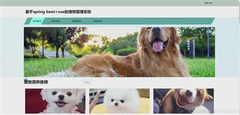 Nodejsvue的流浪宠物领养救助商城管理系统 K3505 Csdn博客 Nodejsvue的流浪宠物领养救助商城管理系统 K3505 Csdn博客