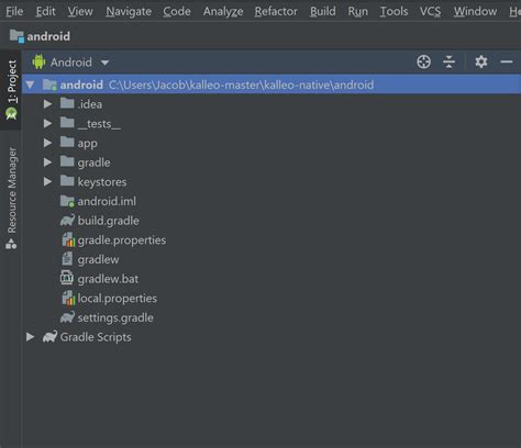 React Native Android Studio Plefoundry