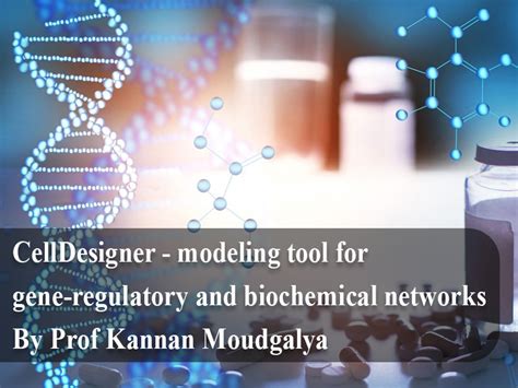 Celldesigner Modeling Tool For Gene Regulatory And Biochemical Networks By Prof Kannan