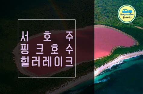 호주 봉고나라 투어 네이버 블로그