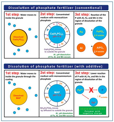 Innovative Phosphate Fertilizer Technologies To Improve Phosphorus Use Efficiency In Agriculture