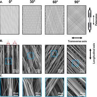 Schematic And SEM Imaging Showing Scaffold Architecture And Method Of Download Scientific