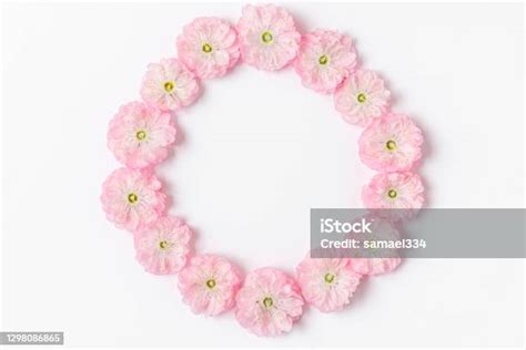 흰색 배경에 고립 된 분홍색 벚꽃 꽃으로 만든 프레임 플랫 레이 위쪽 보기 0명에 대한 스톡 사진 및 기타 이미지 0명