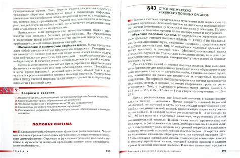 Учебник По Анатомии Сапин - fulbigi