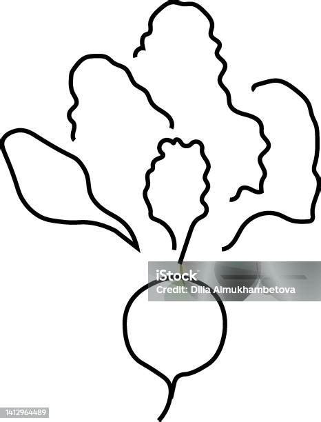 식물 식품 개념 과일과 야채 표시 상점 상점 배너 라벨 스티커 등에 완벽한 벡터 기호 비트 뿌리의 선 아이콘 건강한 식생활에