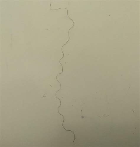 Whats My Hair Type Ive Had Severe Heat Damage If Ur Concerned And