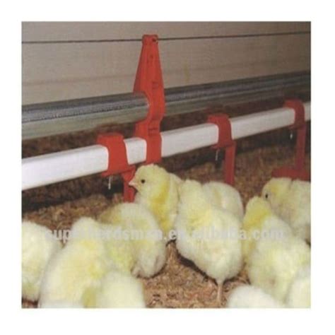Automatic Poultry Equipment Broiler Farming Equipment With Feeder Pan