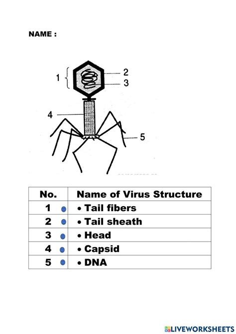 Virus Structure Free Interactive Worksheets 2111097