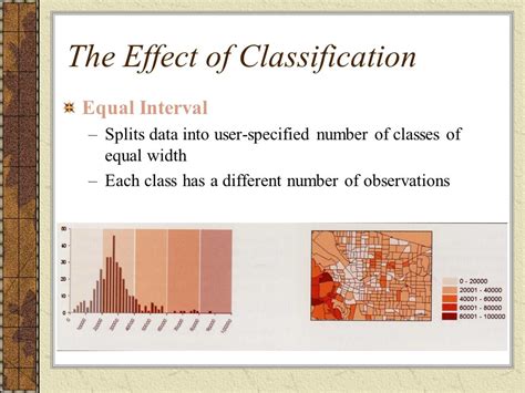 Univariate Descriptive Statistics Chapter 2 Lecture Overview Tabular And Graphical Techniques