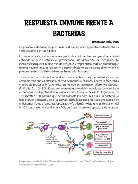 Respuesta Inmune Frente A Bacterias Pdf