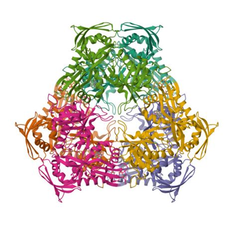 RCSB PDB EBV Crystal Structure Of Acetyltransferase Eis From Mycobacterium Tuberculosis In