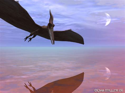 Pterodactyl Pictures Facts The Dinosaur Database