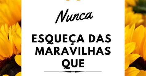 Nunca esqueça das maravilhas que Deus faz Salmos 78 4 FRASES DE UM CRISTÃO