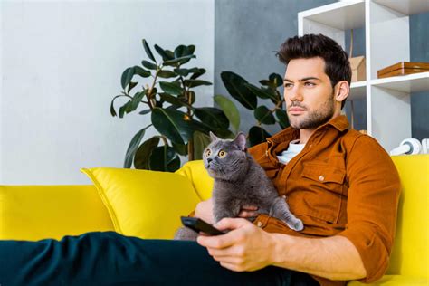 The Best Cat Movies Of All Time Ranked 1 10 A Z Animals