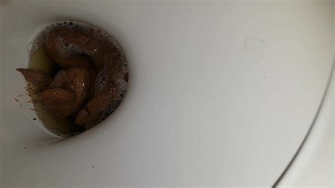 Fresh Video Thisvid Com