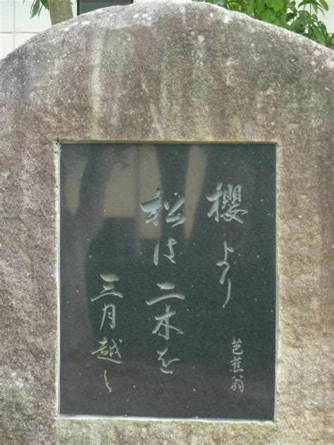 『奥の細道を訪ねて第8回08歌枕”武隈の松”で知られた二木の松 In 岩沼市』岩沼 宮城県 の旅行記・ブログ By Wt信さん【フォートラベル】
