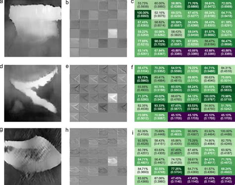 The Figure Shows The Input Image For Each Distinct Defect Type On The