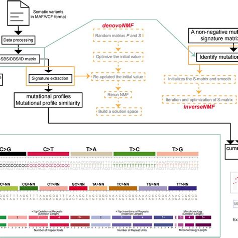 Overview Of Rnmf Workflows The Automatic Process Can Start From
