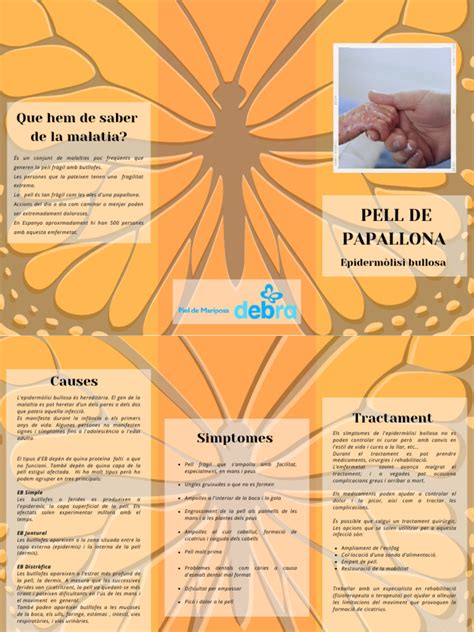 Tríptic Pell De Papallona Pdf