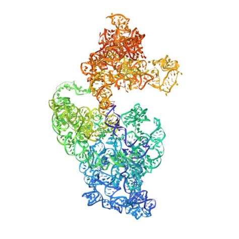 Rcsb Pdb Wkp Structural Basis Of Translation Inhibition By A Valine