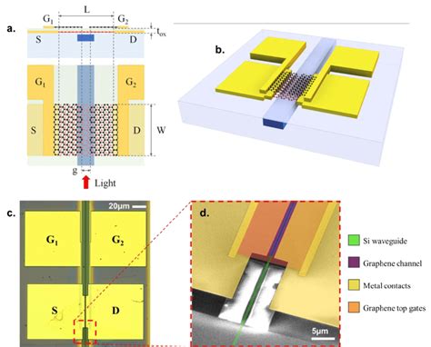 A Cross Section And Top View Of The Designed PTE Graphene