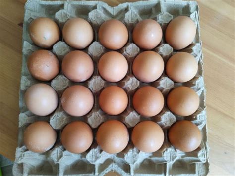 Продажу яиц в одни руки ограничили