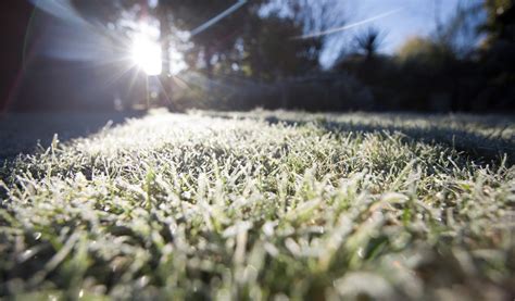 How To Winterize Your Lawn Or Landscape Tech Terra Environmental