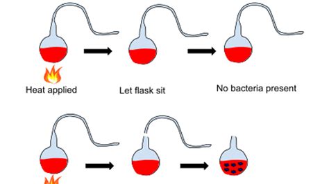 Pasteurization Temperature Range