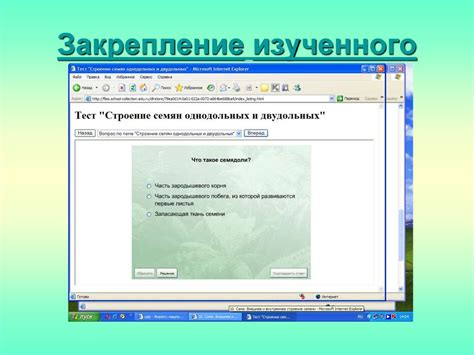 Строение семян покрытосеменных растений презентация онлайн