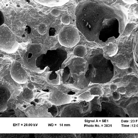 Sem Image Of Is Existence Of Many Pores In Is Surface And Structure