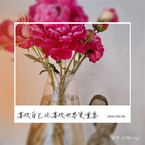 为什么压力一大就想吃东西，这事儿有科学依据吗？ 知乎