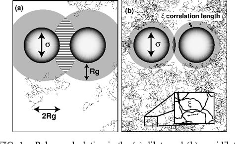Figure 1 From Entropic Colloidal Interactions In Concentrated Dna Solutions Semantic Scholar
