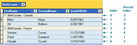 TcxCustomGridRecord Class VCL DevExpress Documentation
