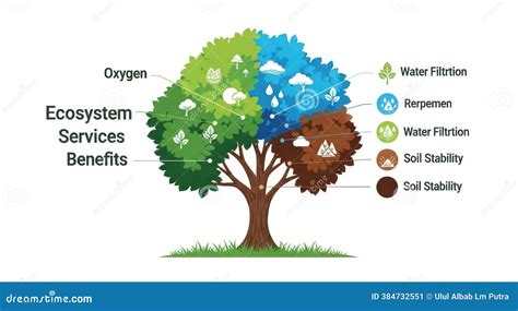 Ecosystem Services And Nature Based Ecological Solutions Outline