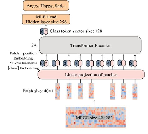 figure 5 from vision transformer and parallel convolutional neural